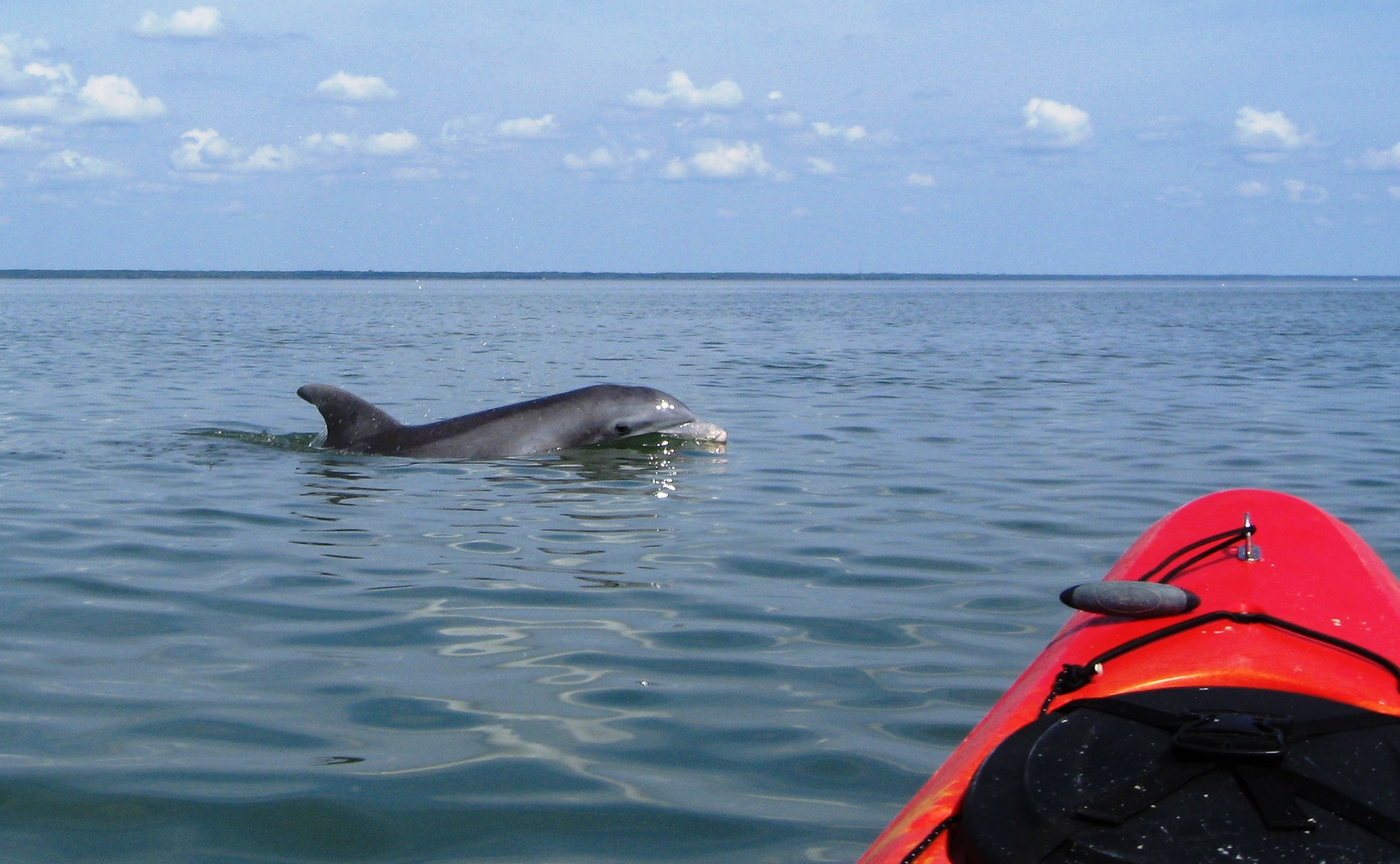 Capers Island Camping+Kayaking | Fall Dates are Up! | Coastal Expeditions