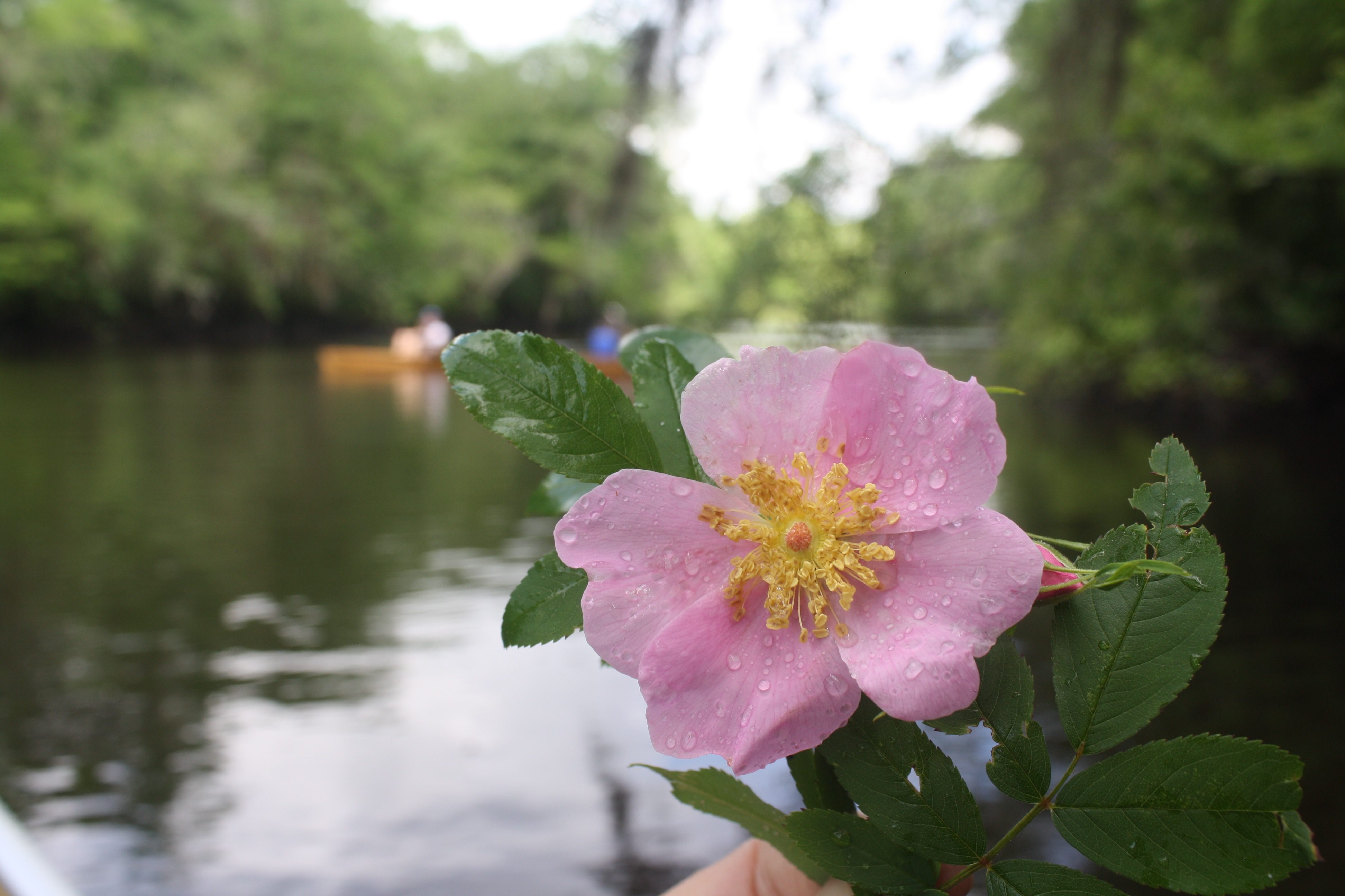 Chris Crolley | Coastal Expeditions Blog