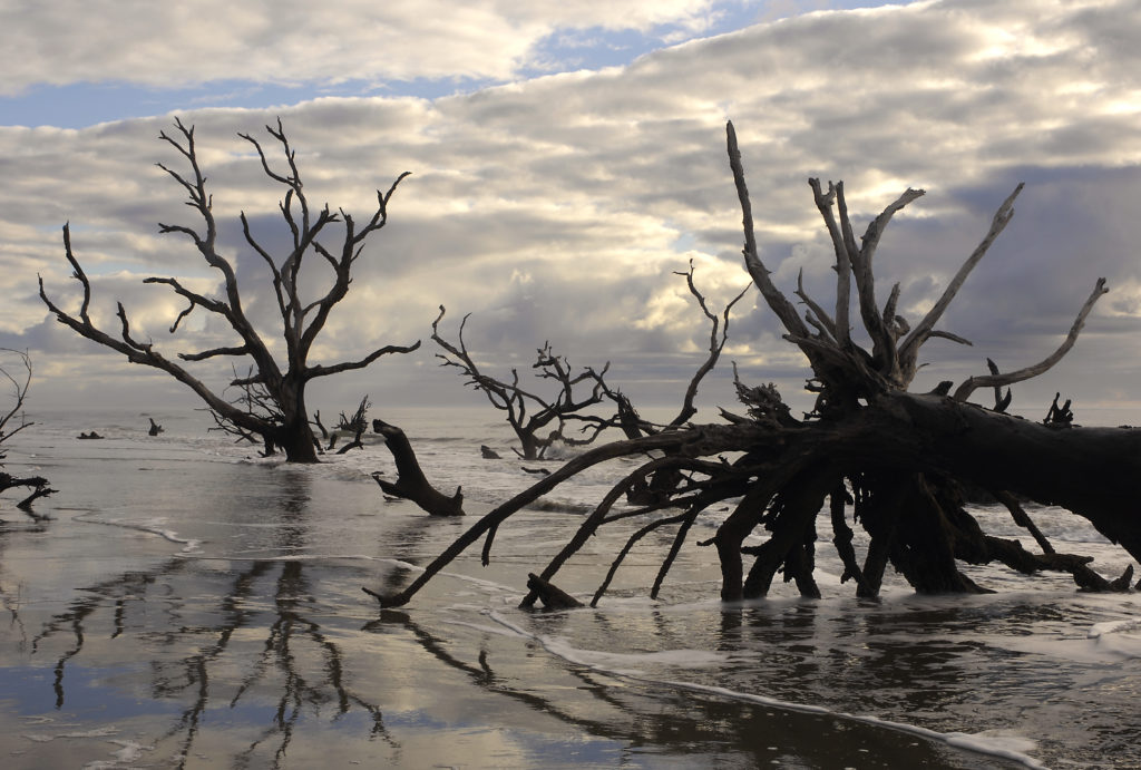 The 2017 Solar Eclipse Aboard the Bulls Island Ferry