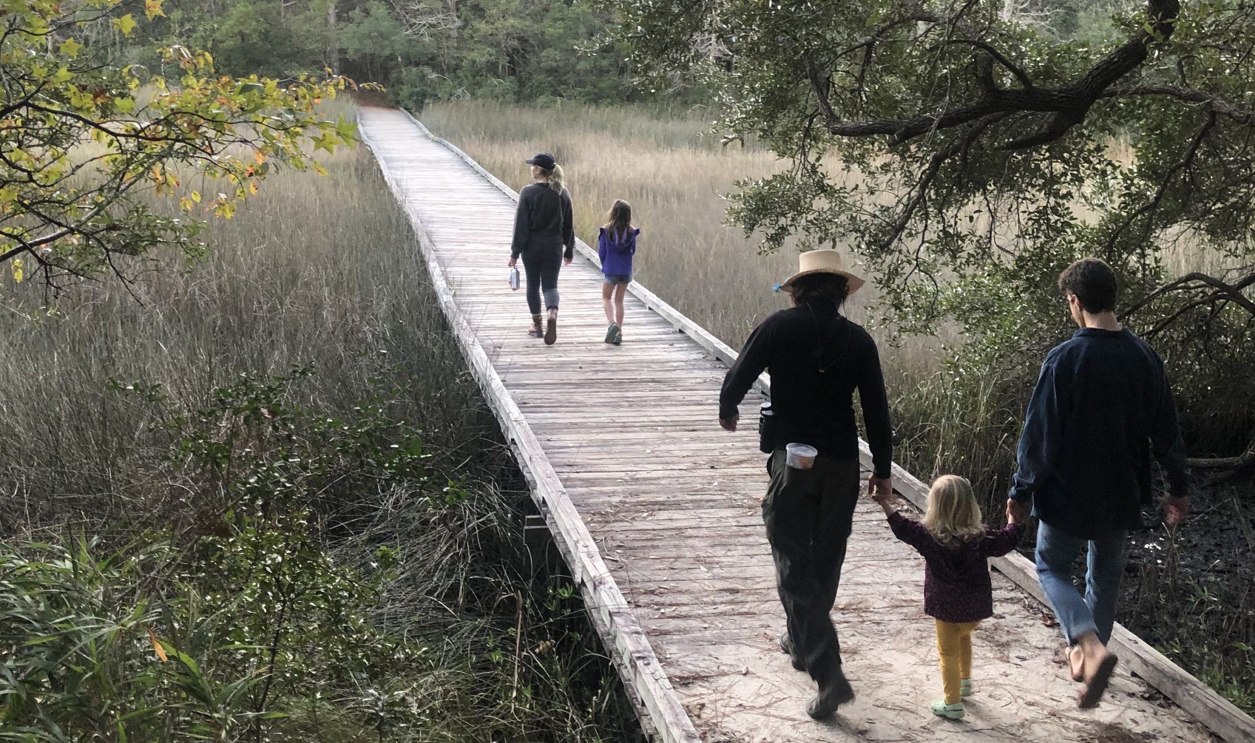 Awendaw Paddle and Hike (with kids) | Coastal Expeditions Blog