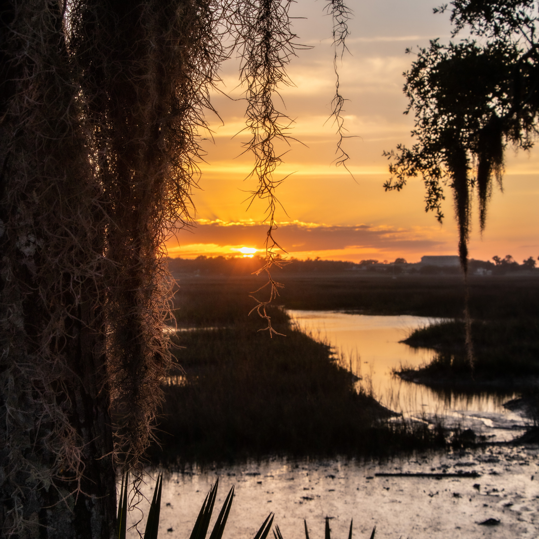 The History of the Awendaw Passage | Coastal Expeditions Blog