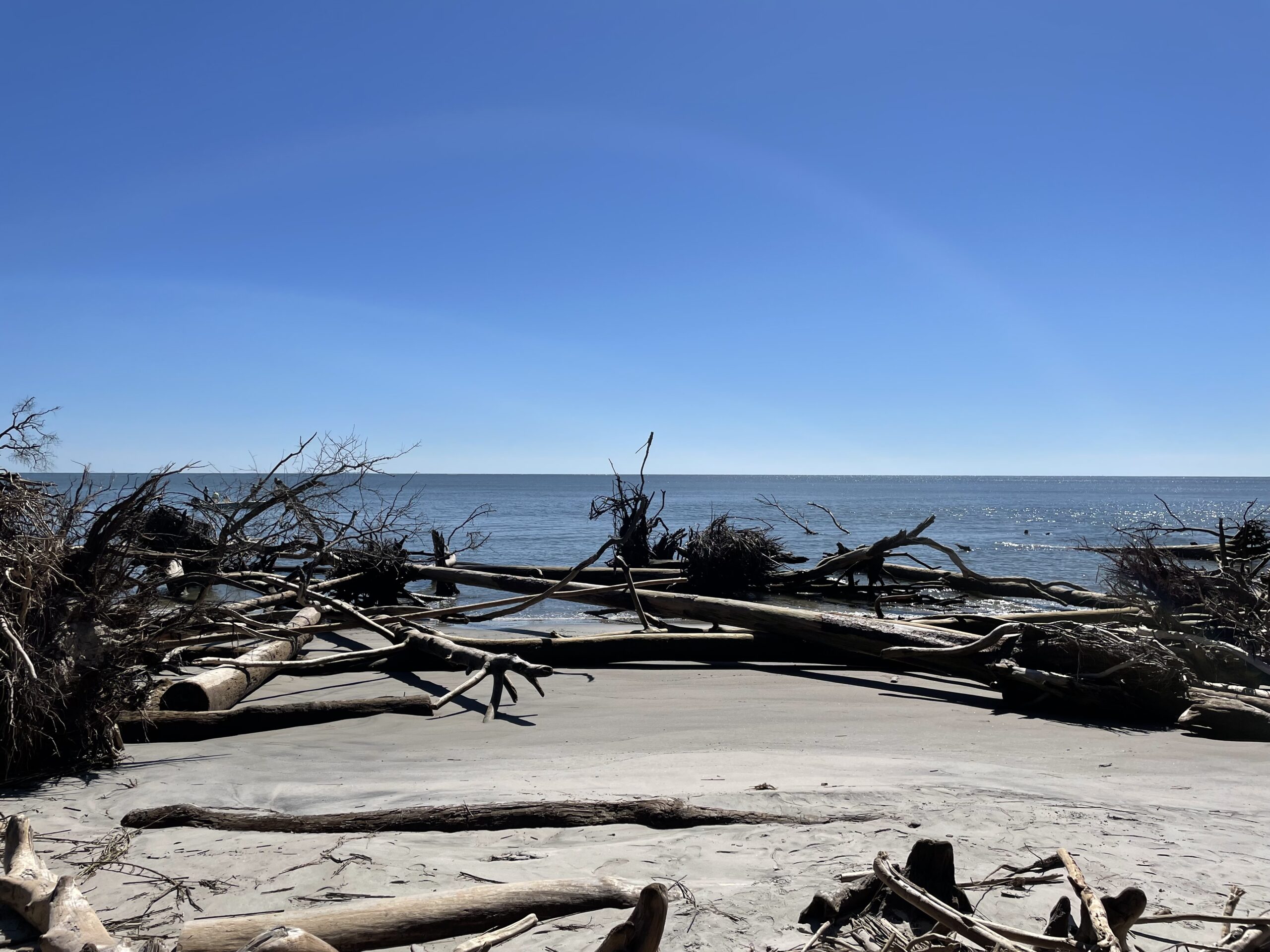 An Adventurer’s Travel Log: St. Phillips Island | Coastal Expeditions Blog