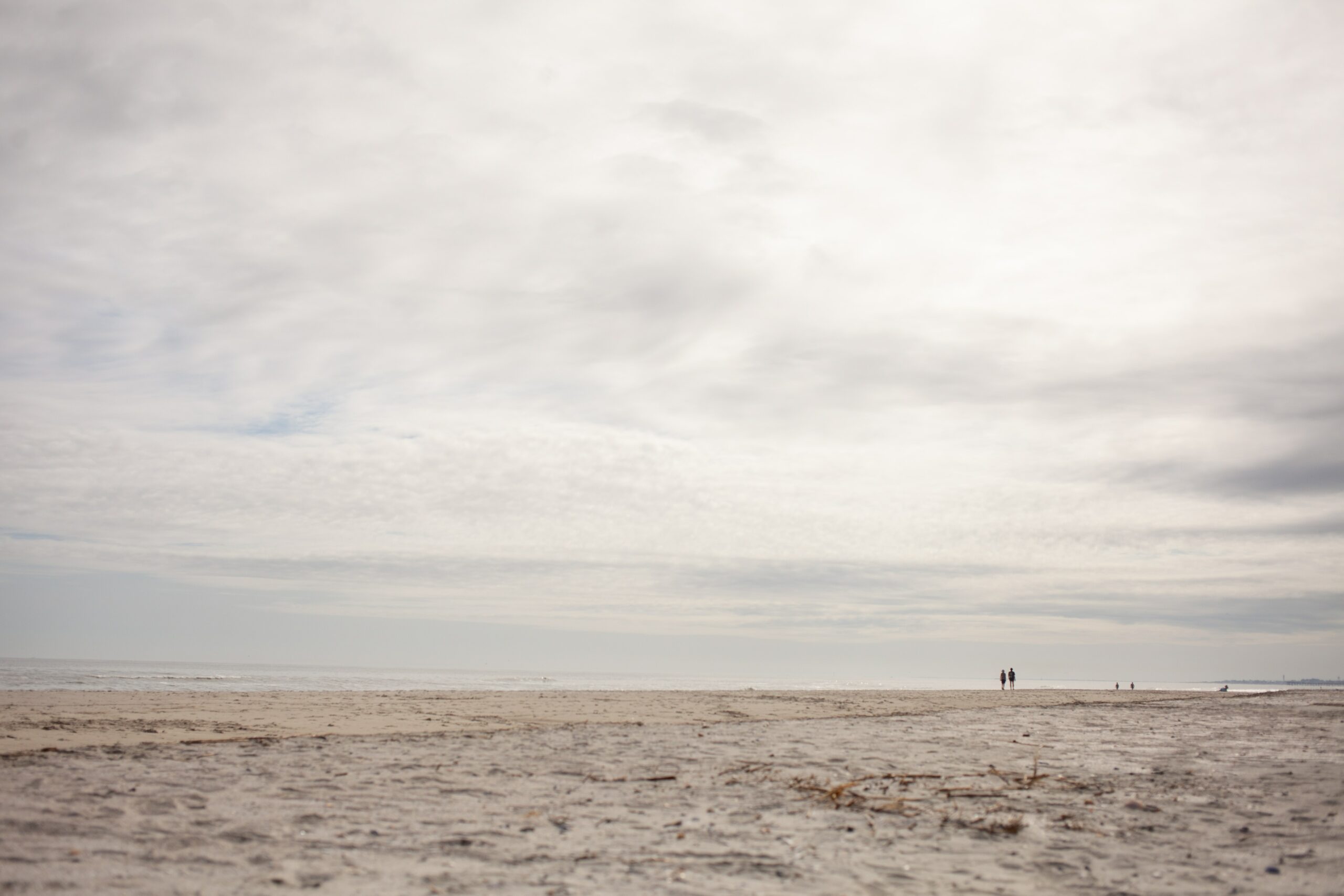 All About the Isle of Palms | Coastal Expeditions Blog