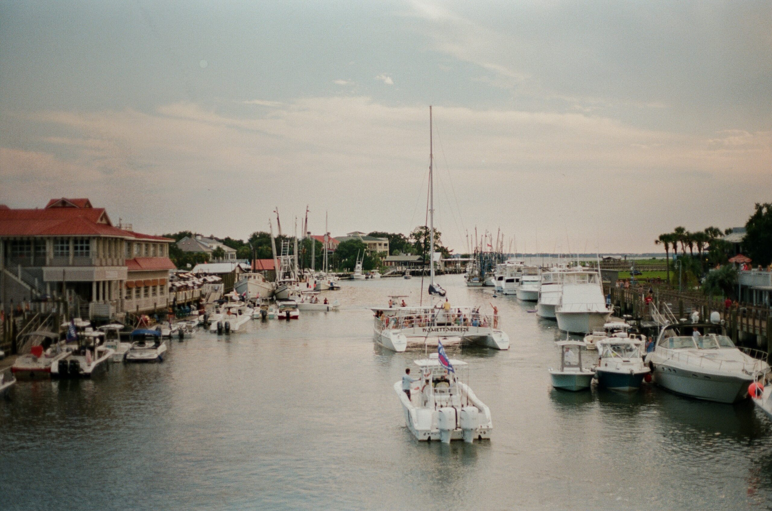 Things To Do In Shem Creek | Coastal Expeditions Blog